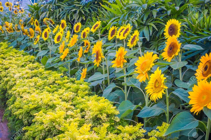 Main-main ke Tempat Instagramable di Medan Yuk! – Trippers.id